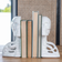 Backbone Human Skull Bookends