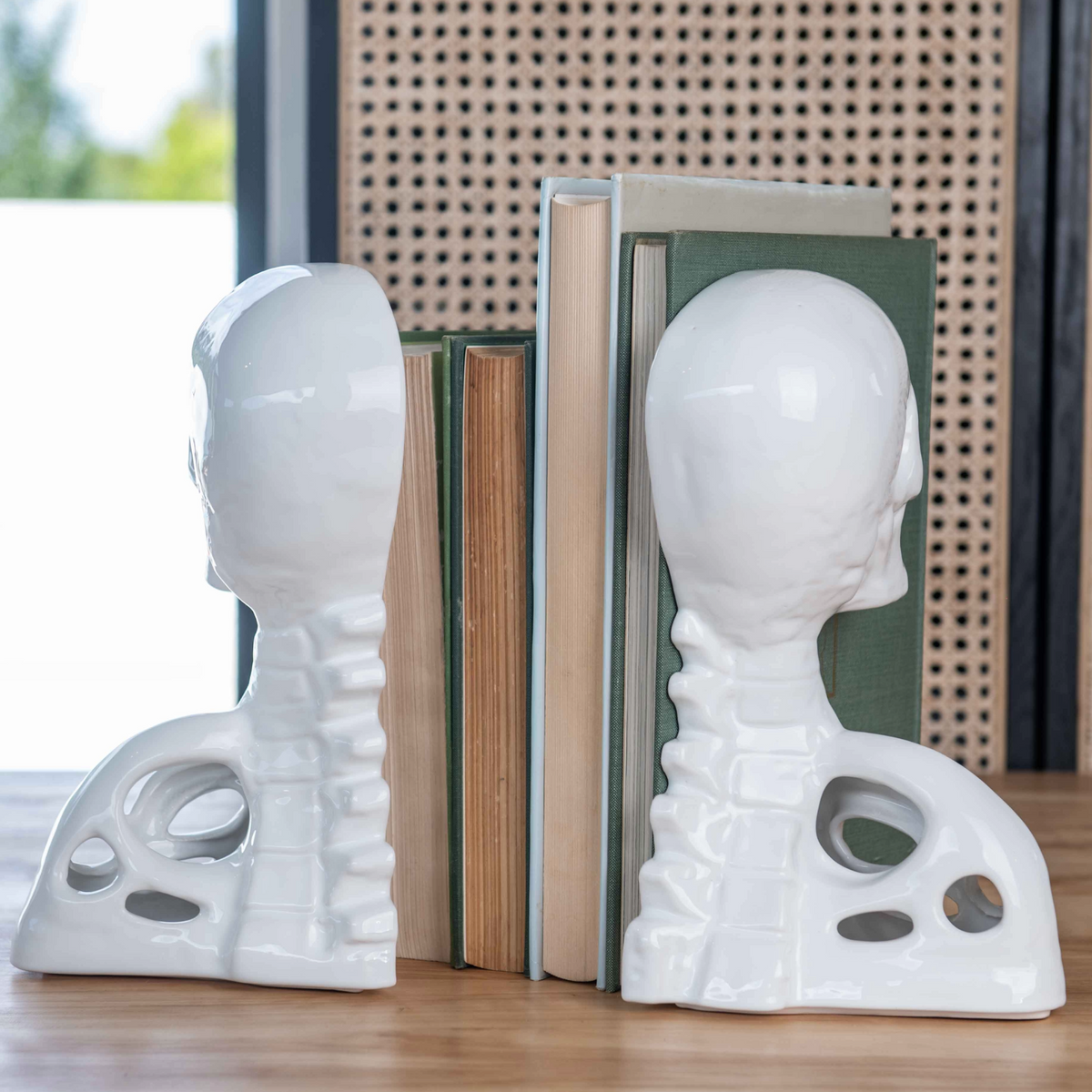 Backbone Human Skull Bookends