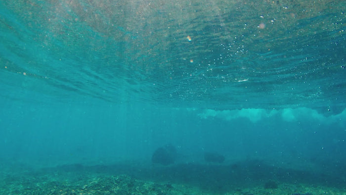 NEW - Ocean Myths Hug Mug Collection