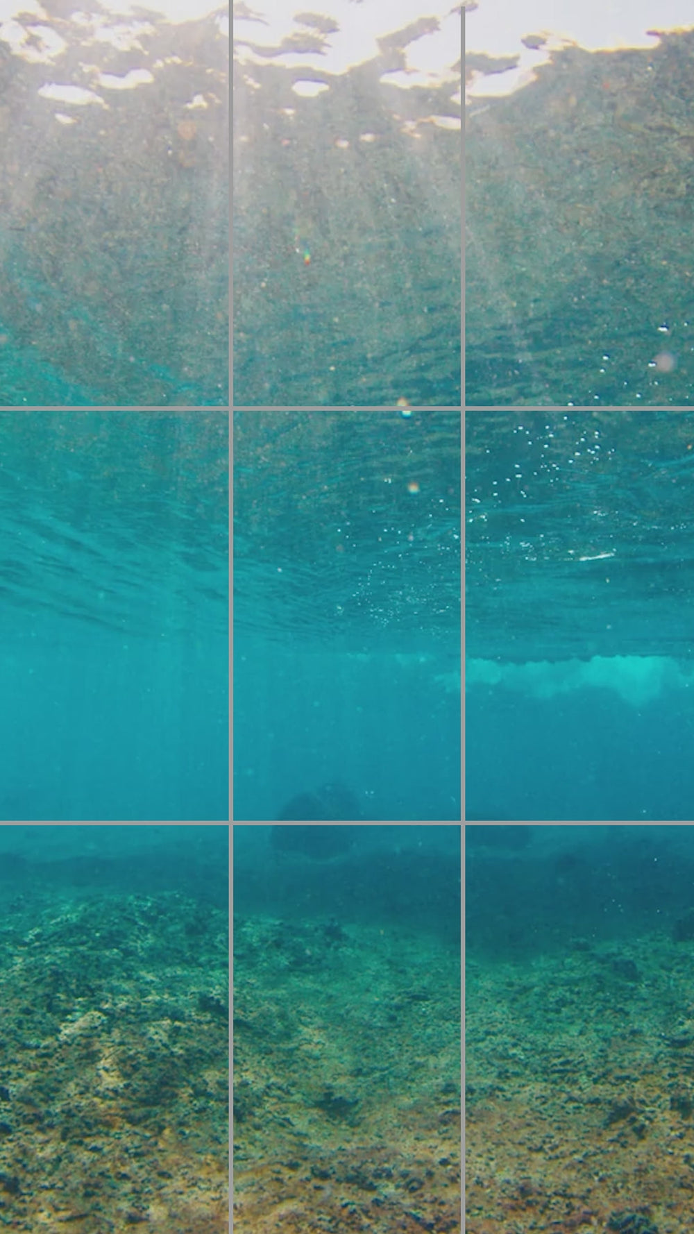 NEW - Ocean Myths Hug Mug Collection